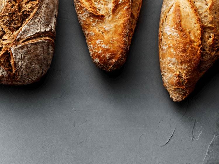 1500 bread products to match your need | Schulstad Bakery Solutions